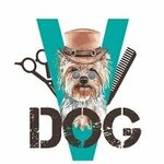 Club_dog. 38 (ulitsa Borodina No:56), evcil hayvan kuaförleri  Irkutsk'tan