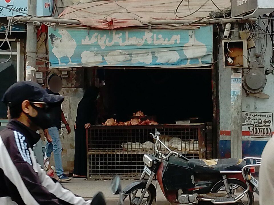 Kanatlı hayvan ürünleri ve yumurta Ahemd Raza, Karaçi, foto