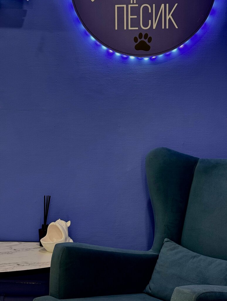 Evcil hayvan kuaförleri Pesik, Kazan, foto