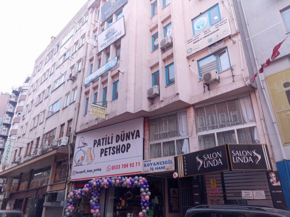 Emlak ofisi Bahri Esen Emlak Müşavirligi, Bursa, foto