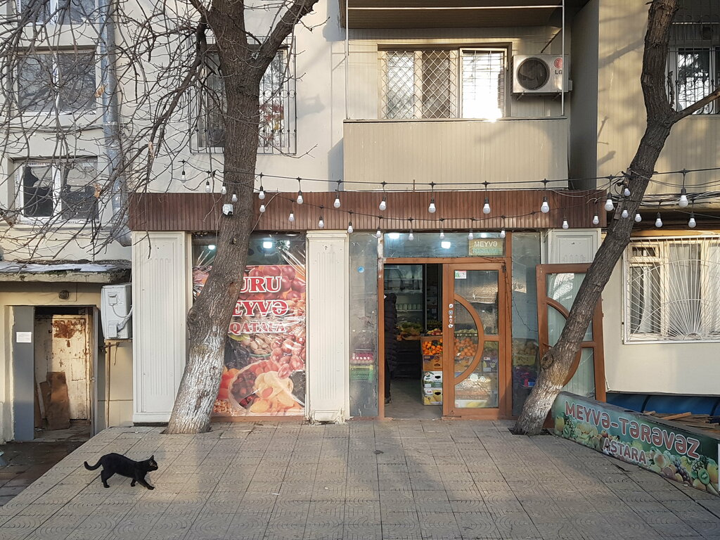 Manavlar Quru Meyvə Zaqatala, Bakü, foto