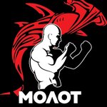 Молот (Sayanskaya Street No:9), spor kulüpleri  Moskova'dan