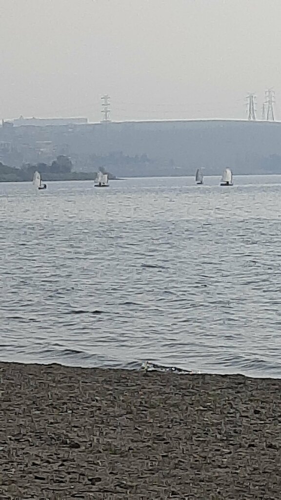 Plaj Şakran plajı, Aliağa, foto