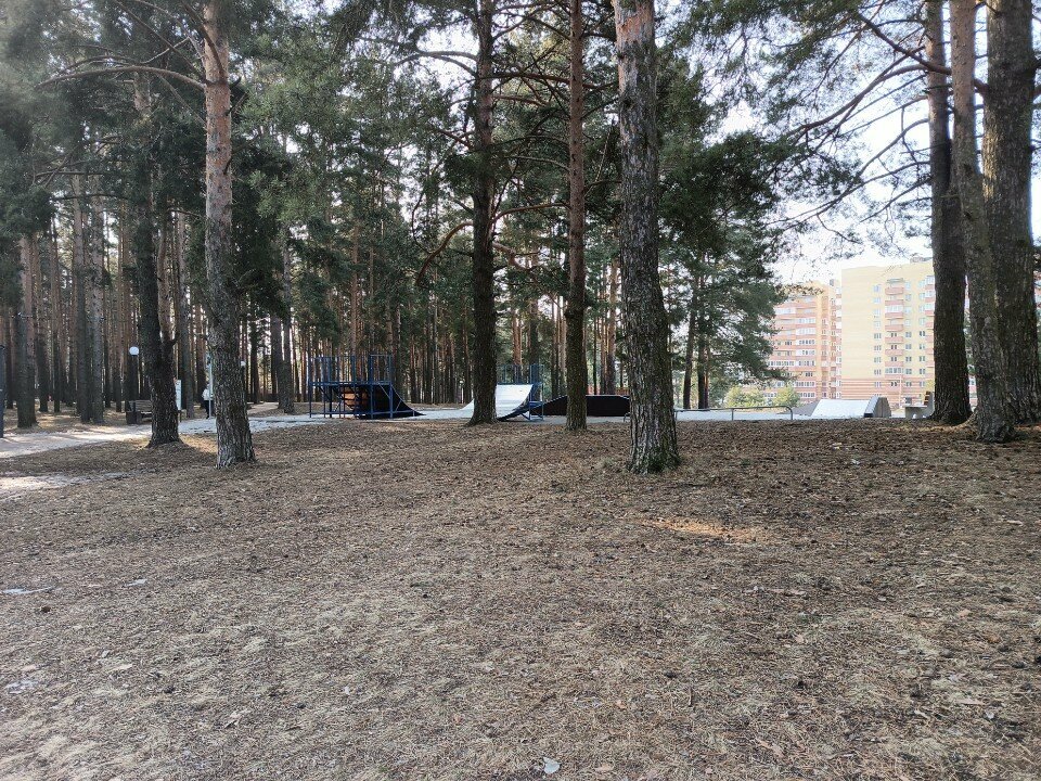 Kaykay parkı Скейт-парк, Yaroslavskaya oblastı, foto