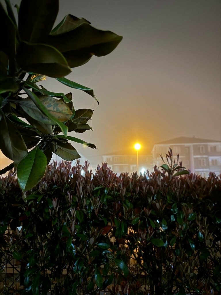 Otel Şehri-Naz Konutları Kocaali, Kocaali, foto