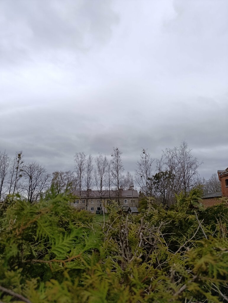 Ortaokul Залесовская средняя общеобразовательная школа, Kaliningradskaya oblastı, foto