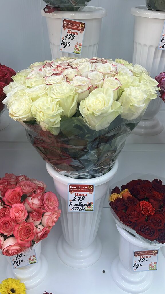 Çiçekçiler База Цветов 24, Moskova, foto