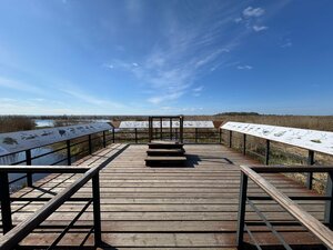 Observation deck (Saint Petersburg, gosudarstvenny prirodny zakaznik regionalnogo znacheniya Severnoye poberezhye Nevskoy guby, peshekhodny ekologicheskiy marshrut Bugainaya tropa), seyir terası  Saint‑Petersburg'dan