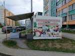 Ovoshchi (Chelyabinsk, ulitsa Kharisa Yusupova), manavlar  Çeliabinsk'ten