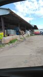 Онего Визит (Pionerskaya ulitsa No:64), yönetim ofisi  Pudozh'tan
