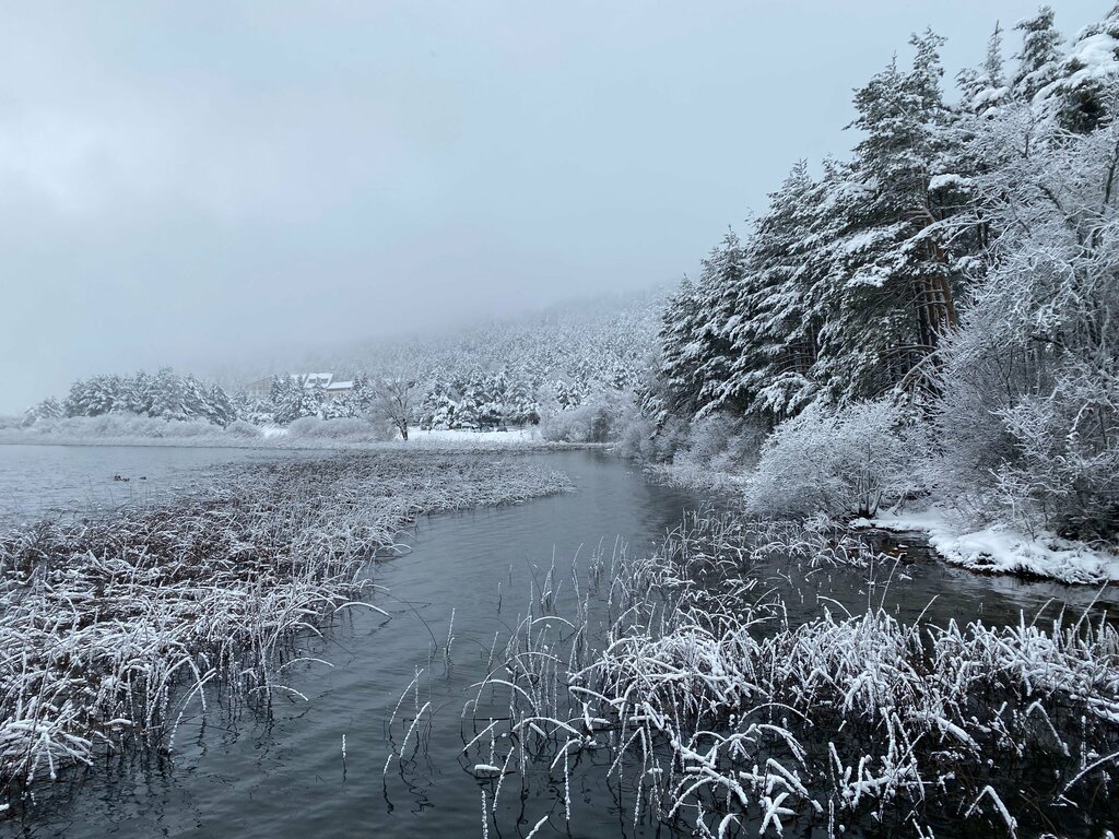 Bilet gişesi Abant Gölü Milli Parkı Bolu Girişi HGS Gişeleri, Mudurnu, foto