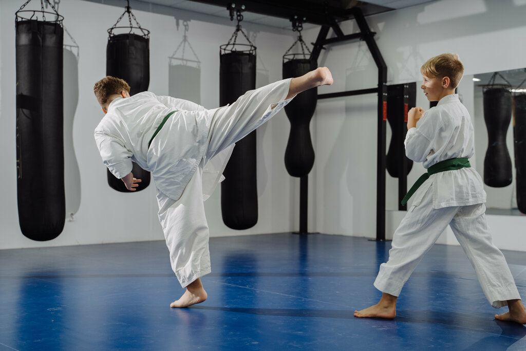 Spor kulüpleri Давидян доджо, Petrozavodsk, foto