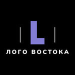 Logo Vostoka (Dalzavodskaya Street No:4), t-shirt baskı  Vladivostok'tan