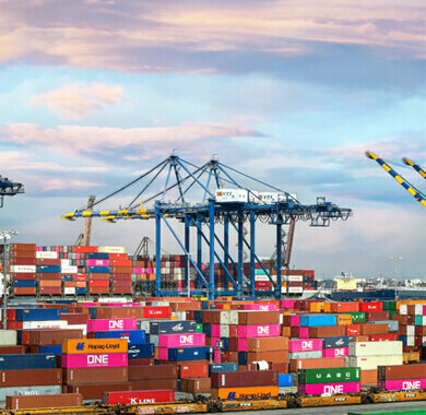 Lojistik firmaları Star Budget Cargo, Dubai, foto