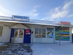 Новосёл (ulitsa Fridrikha Engelsa No:28), yapı mağazası  Ertil'den