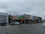 Дуэт (Sovetskaya Street No:194Б/5), çiçekçiler  Tambov'dan