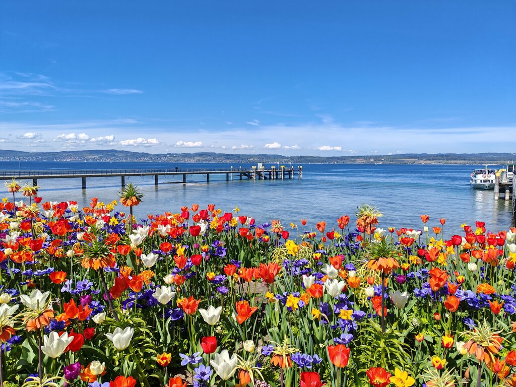 Doğa koruma alanı остров цветов Mainau, Baden‑Wurttemberg, foto