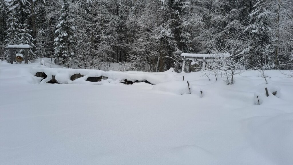 Turistik yerler Плотина мельницы, Vologodskaya oblastı, foto