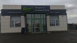 Купец (Trudovaya ulitsa No:1), market  Asino'dan