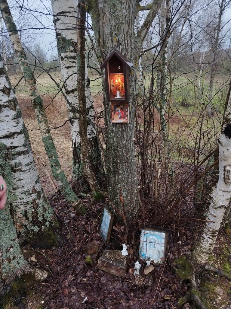 Şapel, haç anıtı Поклонный крест Михайло-Архангельской Верхвологодской церкови, Vologodskaya oblastı, foto