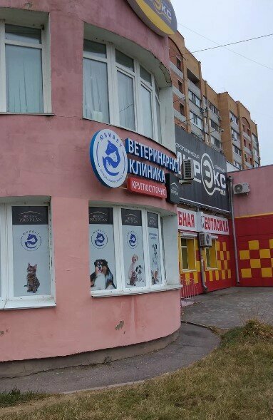 Veteriner klinikleri Univet, Habarovsk, foto