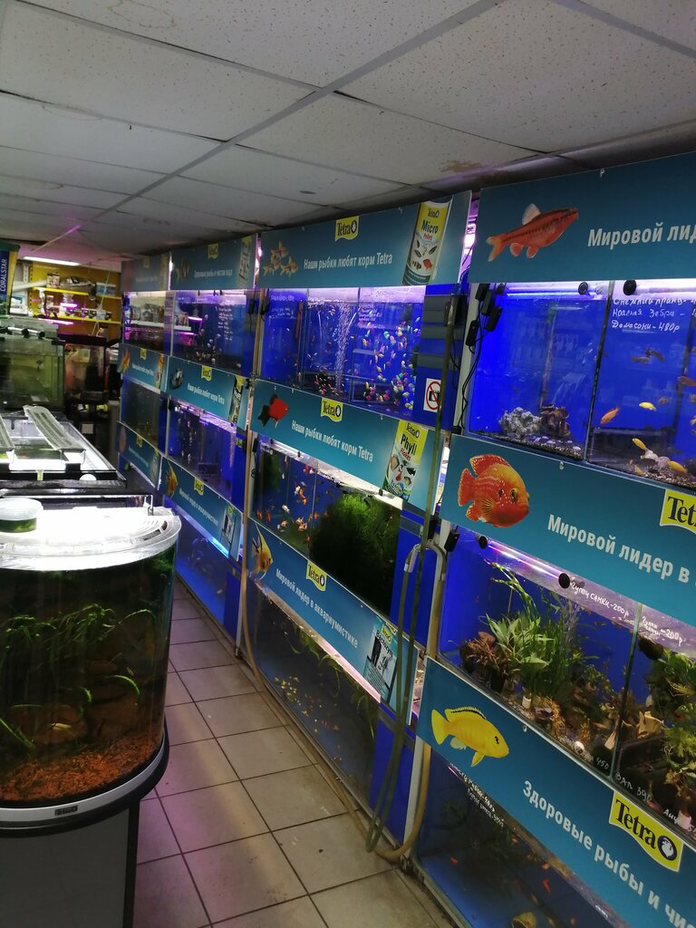 Petshop Магазин аквариумов, Moskova, foto
