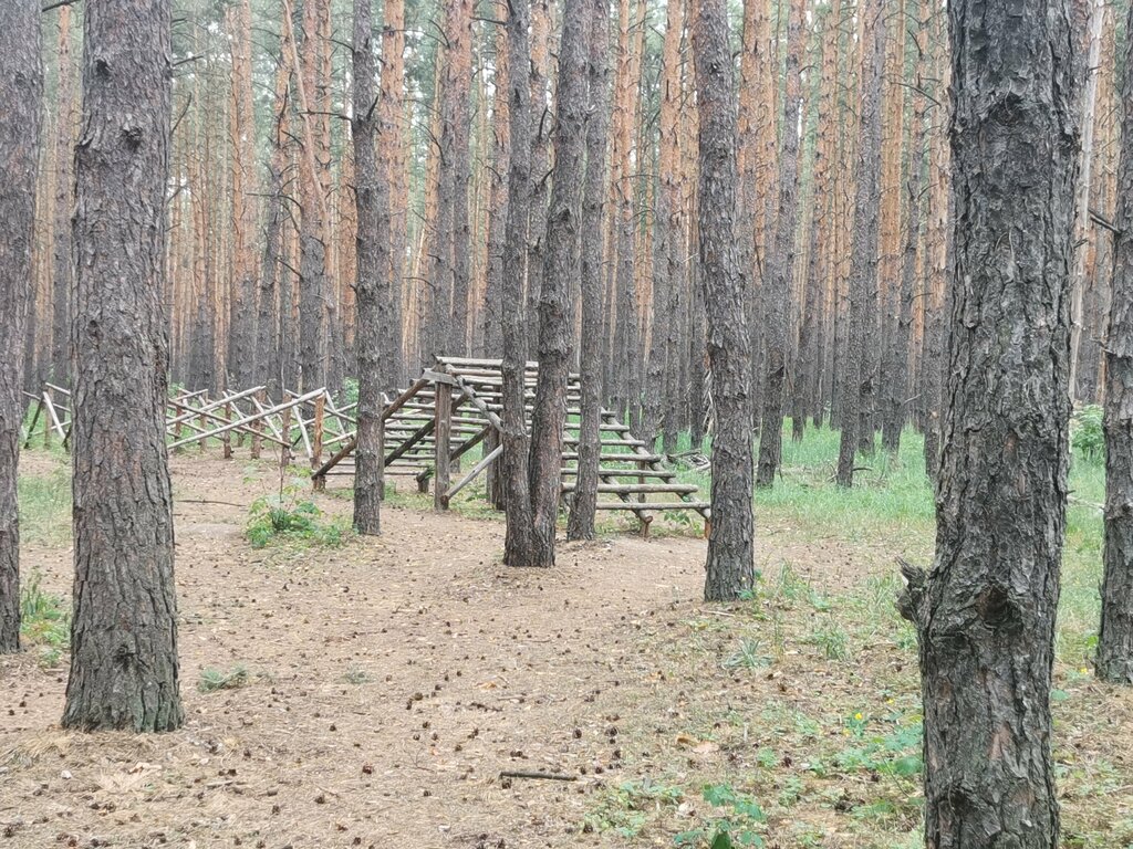 Orman Горелый лес, Lipetskaya oblastı, foto