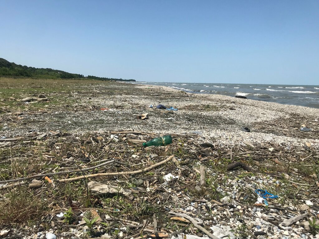 Plaj Plaj, Dünya, foto