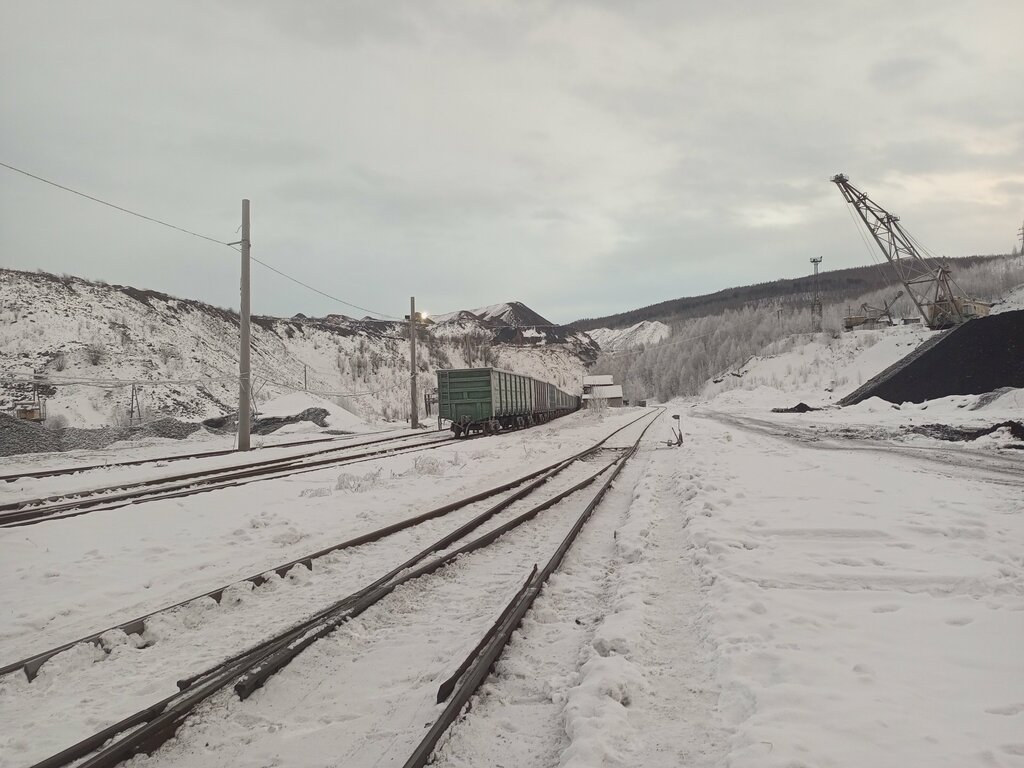 Yük istasyonu станция Высотная, Mejdureçensk, foto
