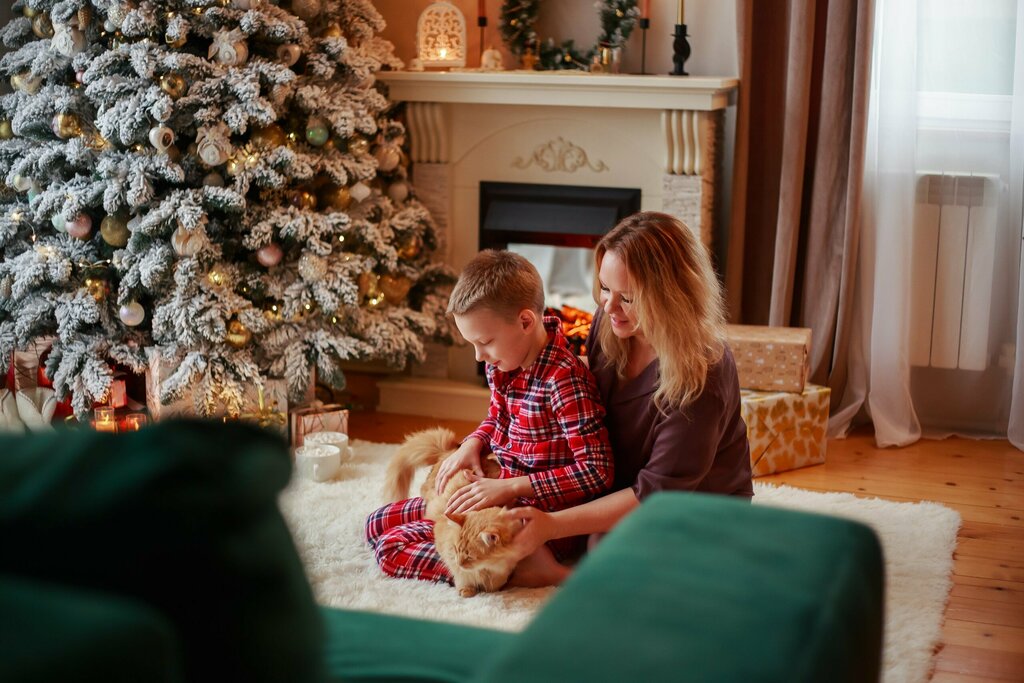 Profesyonel fotoğraf stüdyosu Мой Дом, Moskova ve Moskovskaya oblastı, foto