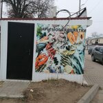 Дары моря Камчатки (ulitsa Mayakovskogo No:12Б/1), balık ve deniz ürünleri  Kalaç‑na‑Donu'dan