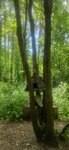 Селецкая улица (Moscow Region, Serpukhov, Tsentralnaya ulitsa), toplu taşıma durağı  Serpuhov'dan