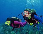 Profesyonel Dalış Merkezi (Muğla, Marmaris, Tepe Mah., Kordon Cad.), dalış kulüpleri ve eğitim merkezleri  Marmaris'ten