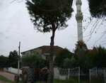 Rekmez Cami (Aydın, Sultanhisar, Rekmez Mah., Rekmez Dereiçi Sok., 1), cami  Sultanhisar'dan