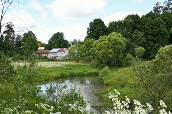 Yazlık yerleşim Абрамцево 3, Moskova ve Moskovskaya oblastı, foto