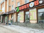 5 цветов (ulitsa Kalinina No:14), çiçekçiler  Rubtsovsk'tan
