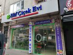 Elif çiçek evi (İstanbul, Esenler, Atatürk Cad., 39A), çiçekçiler  İstanbul'dan