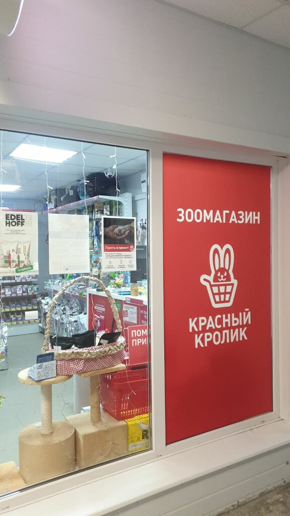 Petshop Красный кролик, Novosibirsk, foto