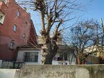 Naycılar Çeyiz (Esatpasa Mh., General Tahsin Yazıcı Cd., No: 1/3-A, Ataşehir, İstanbul), çeyiz mağazaları  İstanbul'dan
