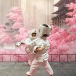 Karate School (Интернациональная улица No:132А), spor kulüpleri  Yevpatorya'dan