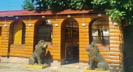 Kafe Дружба, Saint‑Petersburg, foto