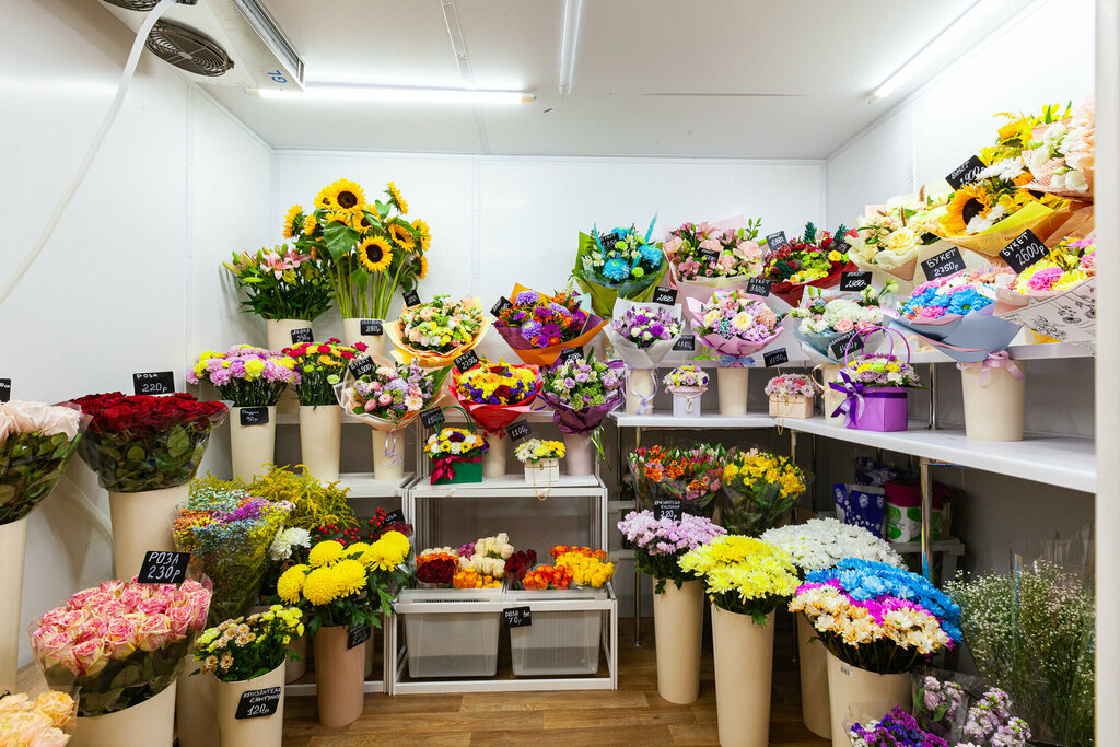 Çiçekçiler Diantus, Vidnoye, foto