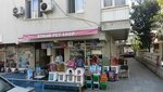 Aşkar PetShop (Antalya, Muratpaşa, Cumhuriyet Mah., 620. Sok., 22), petshop  Antalya'dan