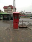 Qiwi (Shymkent, Tóle Bı kóshesі), ödeme terminali  Çimkent'ten (Şımkent'ten)
