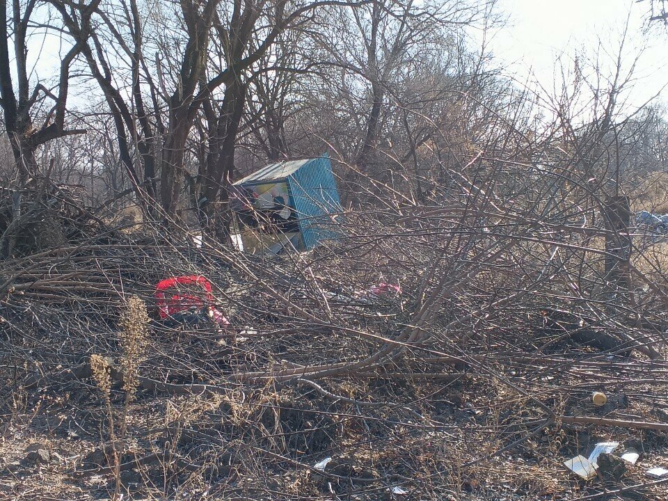 Dondurmacılar Мороженое, Ussuriysk, foto