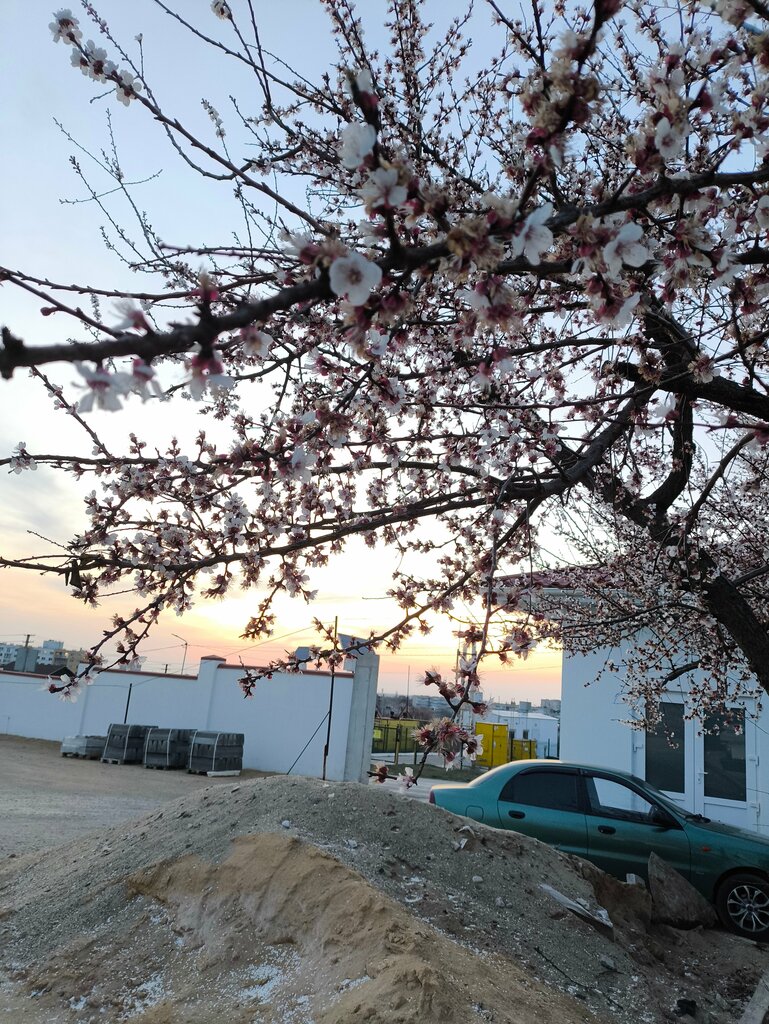 Cami Mosque, Kırım Cumhuriyeti, foto