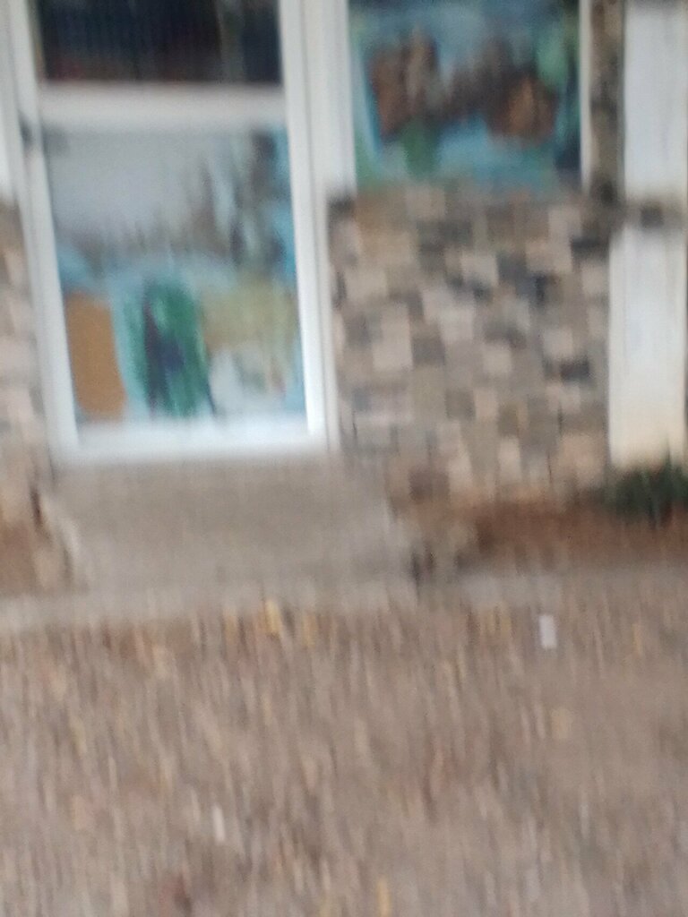 Kantin, yemekhane Restaurante, Loanda, foto