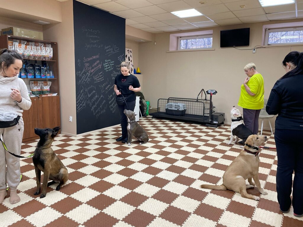 Hayvanat bahçesi merkezi Собака73, Ulyanovsk, foto