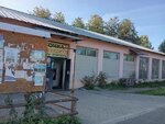 Магазин продуктов (Vologda Region, Cherepovetskiy munitsipalny okrug, Nelazskoye selskoye poseleniye, posyolok Andogskiy, ulitsa Bumazhnikov), market  Vologodskaya oblastından