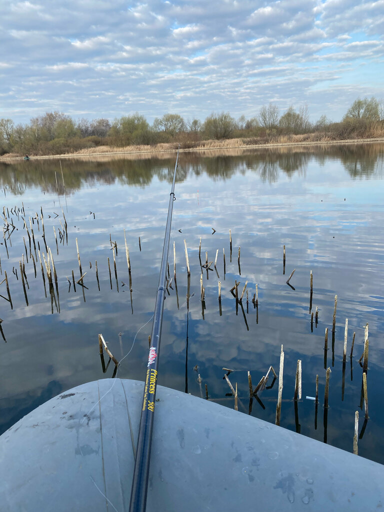 Plaj Пляж, Lipetskaya oblastı, foto